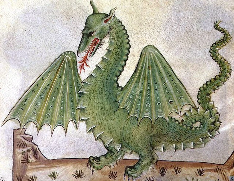 How would we feel about generic dragon creatures? | Fandom