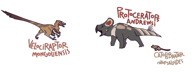 Djadochta desert... | Fandom