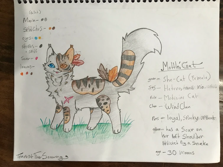 I drew a WC oc of mine | Fandom