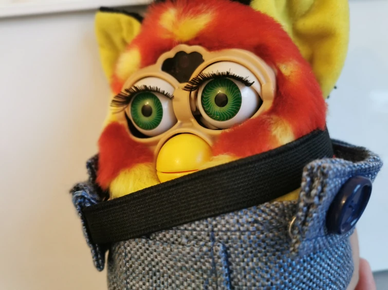 Furby dress-up contest! [CLOSED] Furbawool is the winner | Fandom