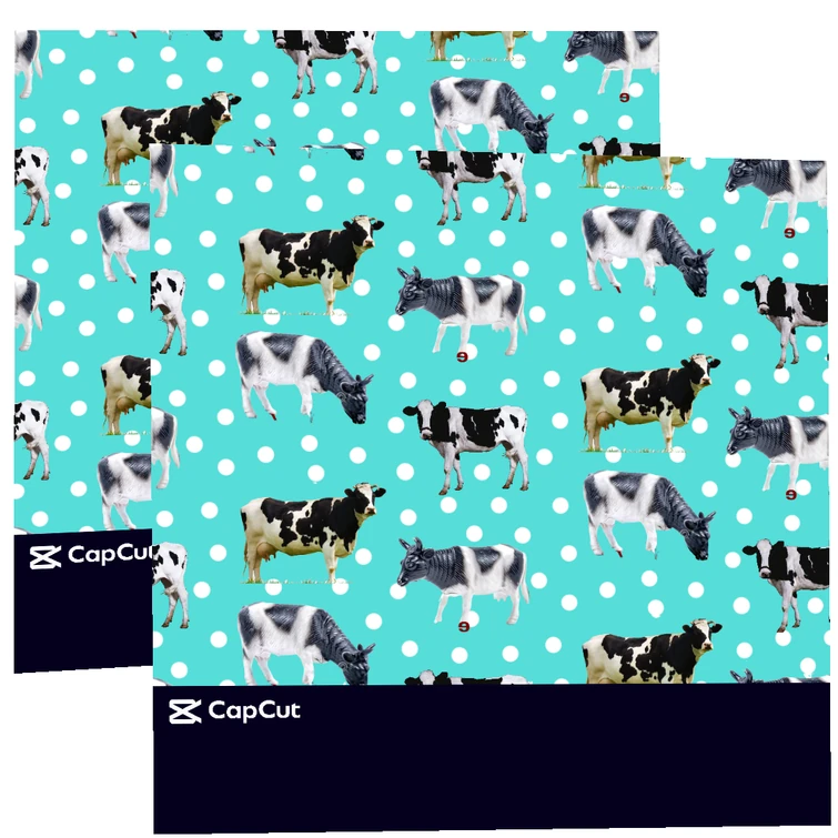 Juegos Cama Cojines Binary Port 4 | Fandom