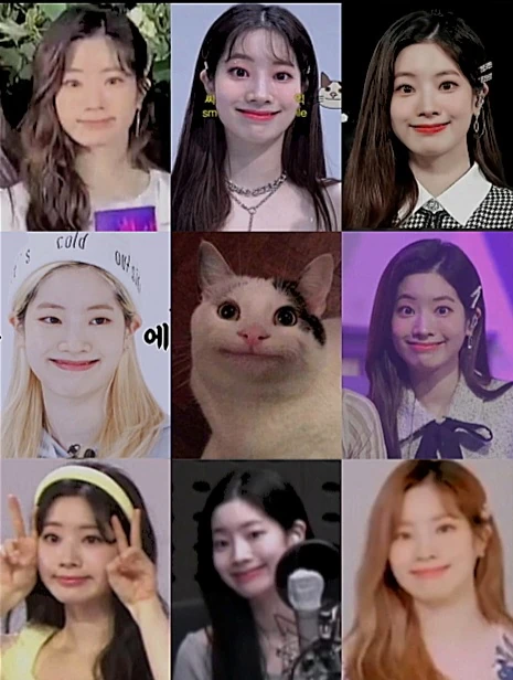 Dahyun's hilarious cat meme. | Fandom