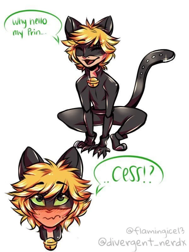 Cute Marichat | Fandom