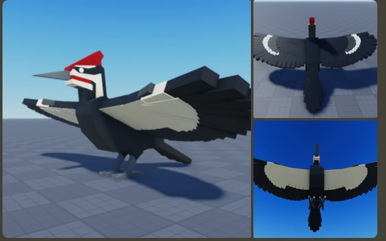 Discuss Everything About Skyven Wiki | Fandom