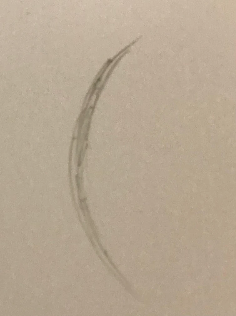 Nezuko Pattern Sketch | Fandom