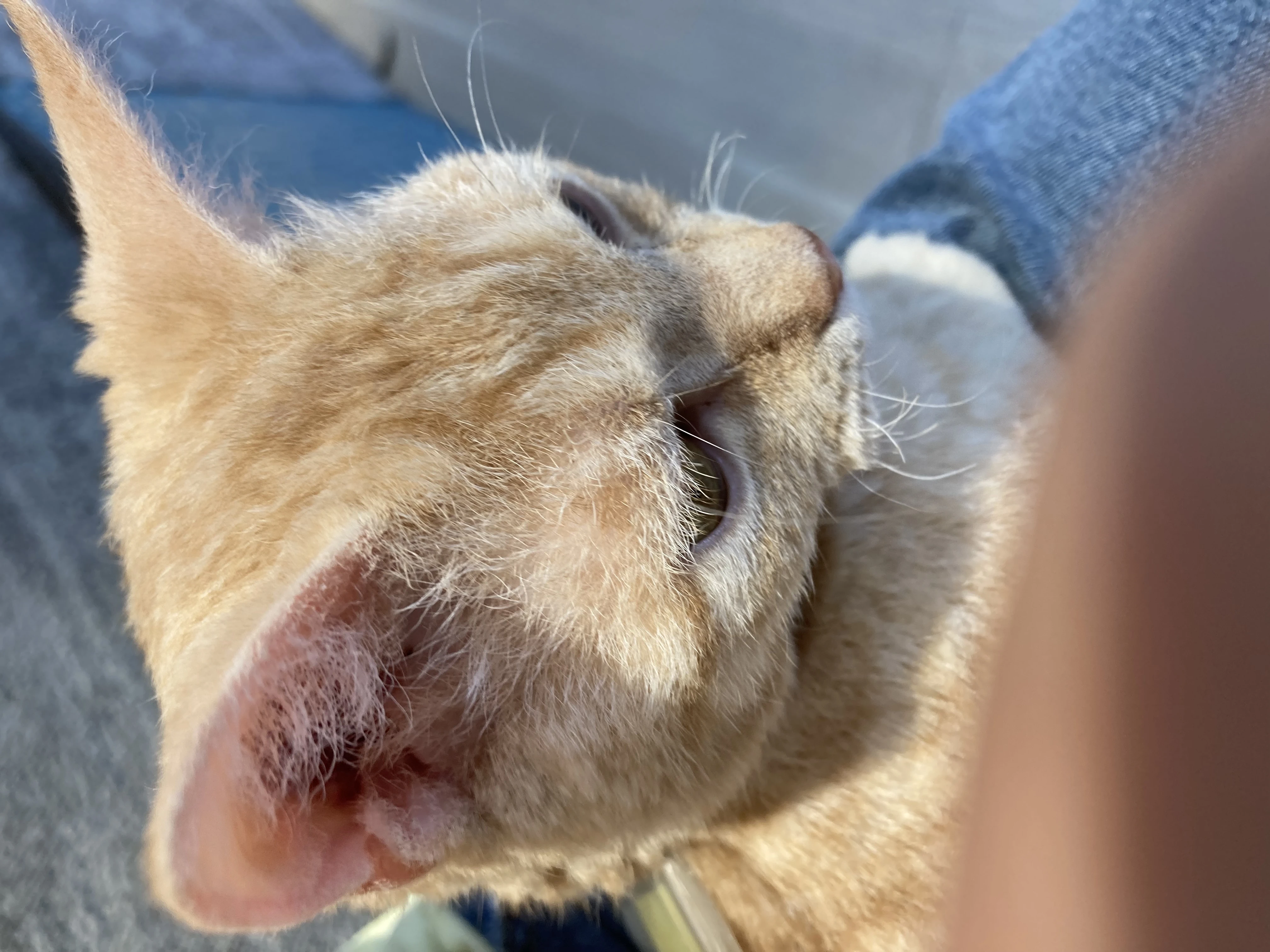 STOP WHAT YOU ARE DOING | Fandom