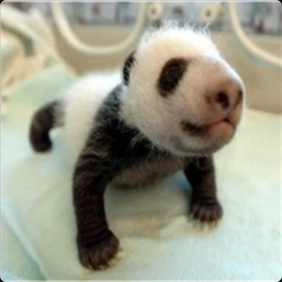 bye everyone i go eepy now | Fandom