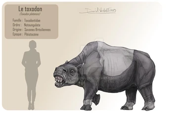 What should the pattern of the toxodon look like in the dinopedia ...