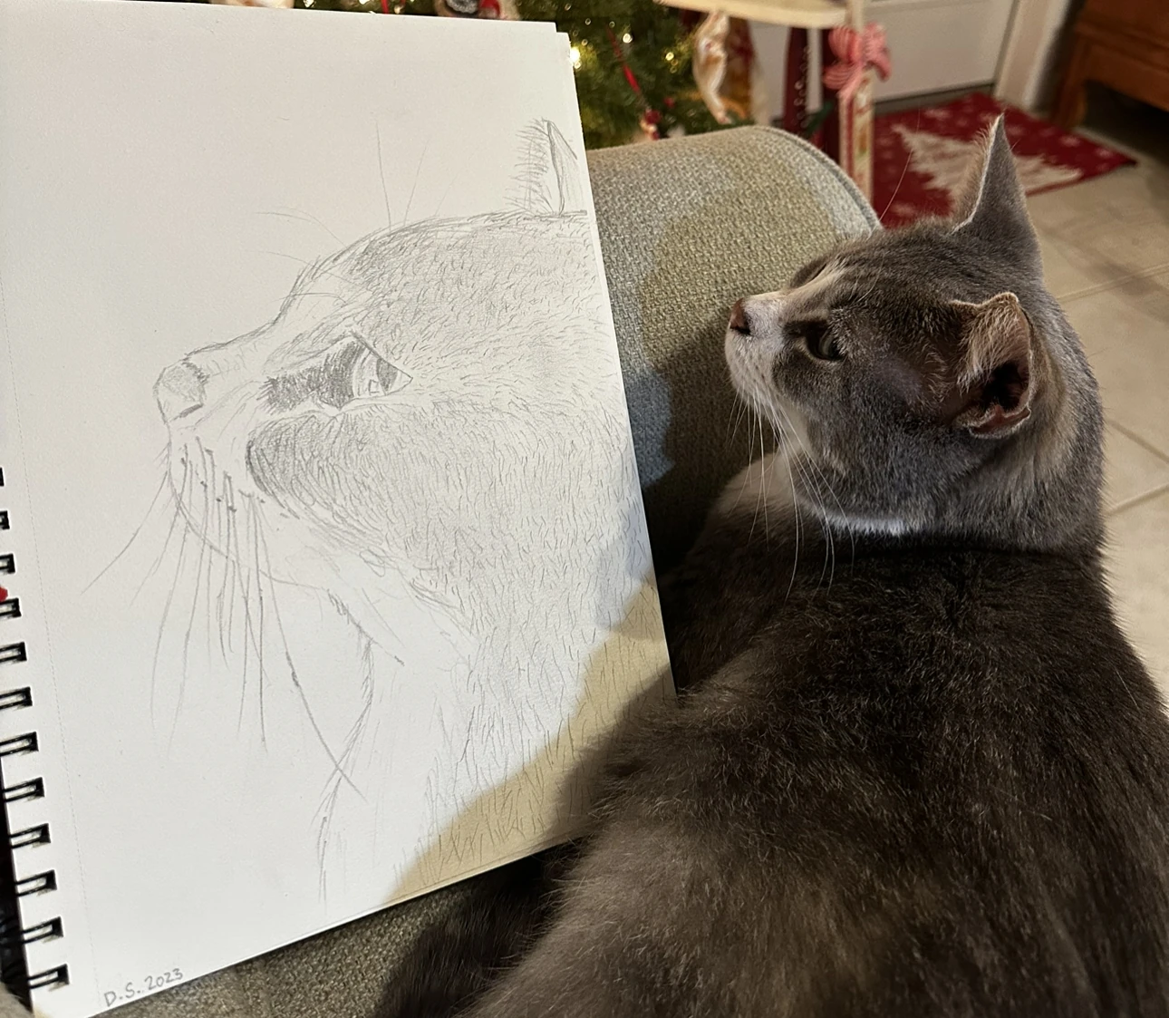 Pencil drawing of my cat | Fandom
