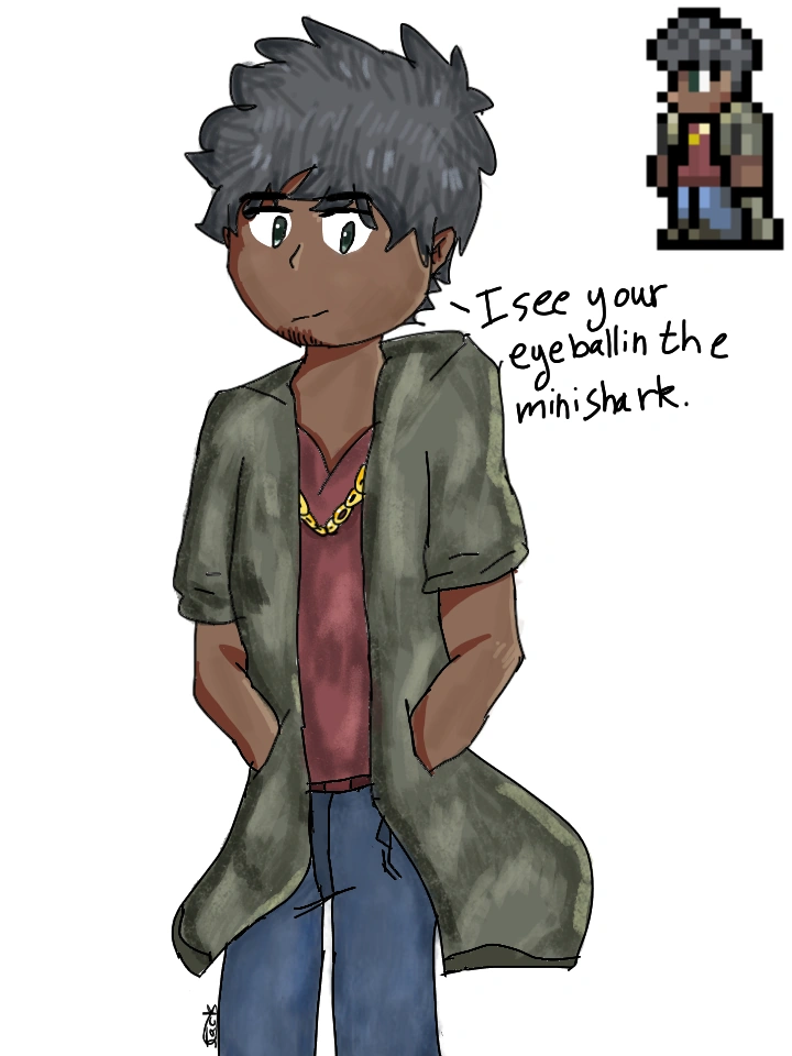 Gun Merchant Terraria