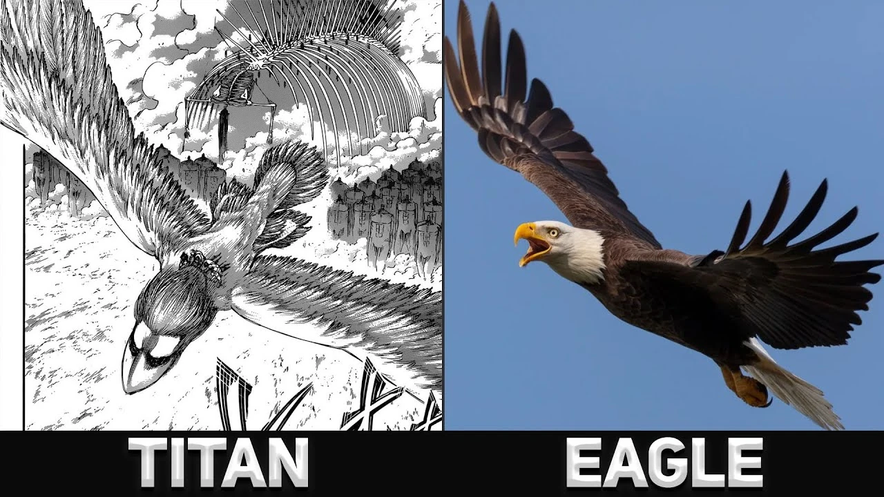 Look at all these beast titans (wolf looks like giant werewolf XD) | Fandom