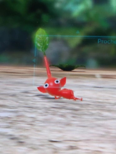 Which image is more cursed? | Fandom