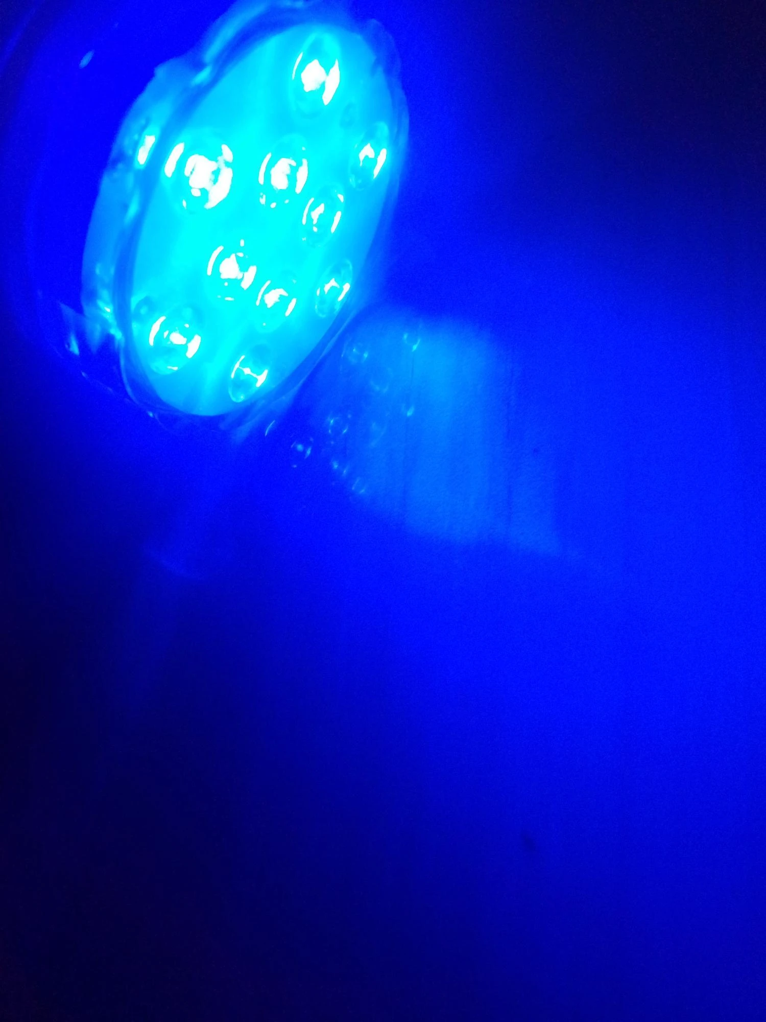 blue things 💙 | Fandom