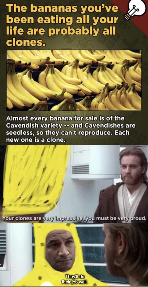 (meme) Begun the banana war has... | Fandom