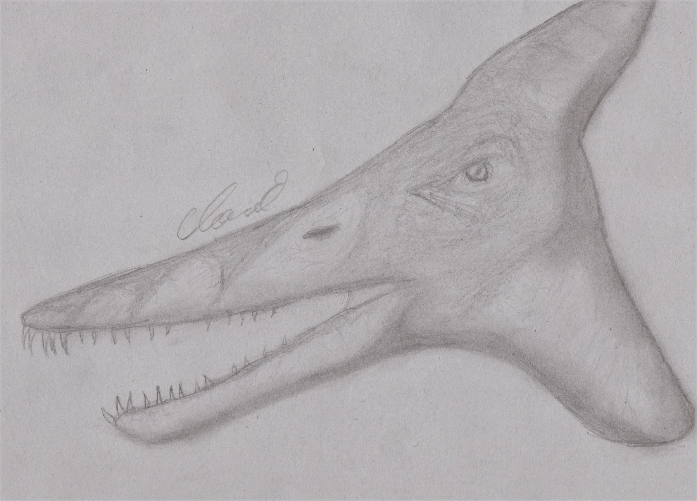 Ludodactylus Draw | Fandom