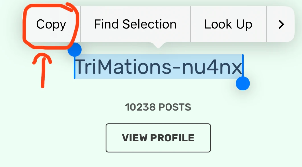 How to copy and paste a username | Fandom