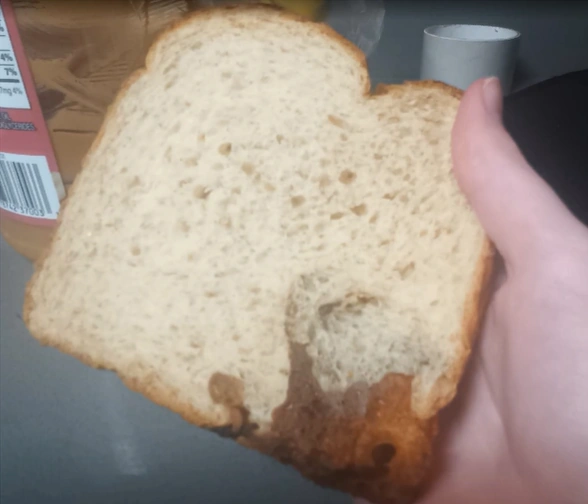 WHAT HAOEPEND TO MY BREAD??? | Fandom