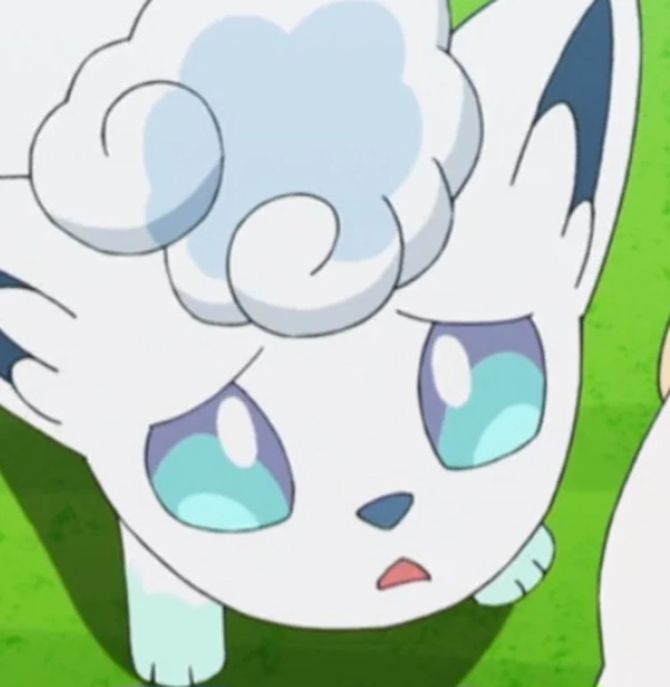 Random Pokémon Anime Screenshots | Fandom