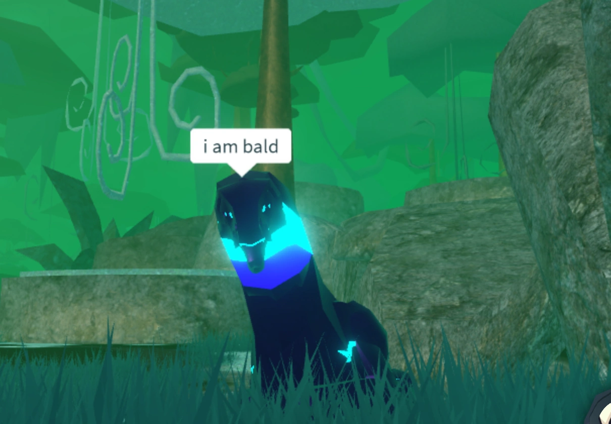 private server shenanigans | Fandom