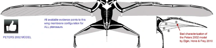 Are there any notable inaccuracies in Prehistoric Planet? | Fandom