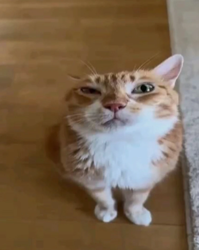 hello i am on here now (not really) | Fandom