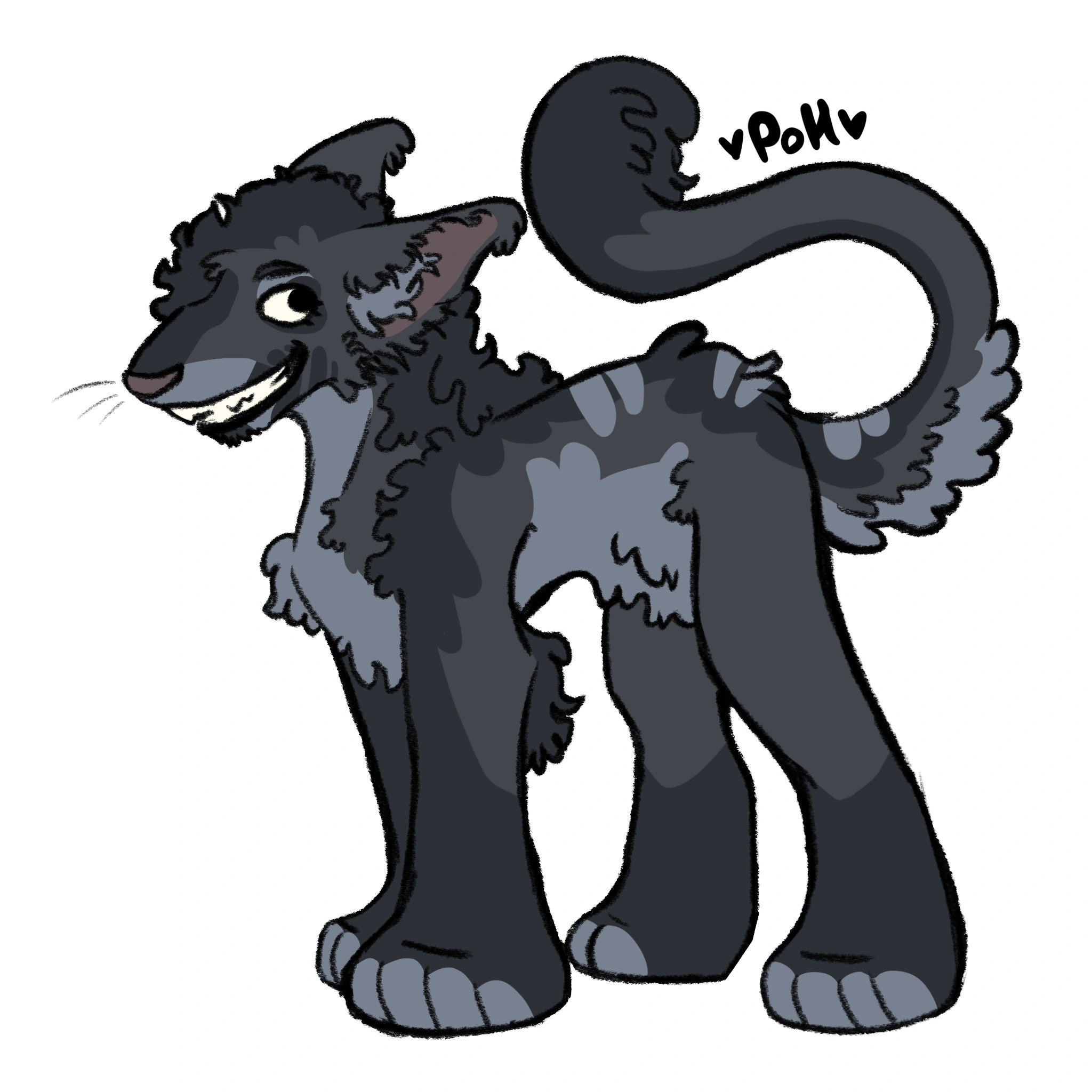 Usopp cat 4 his birthday | Fandom