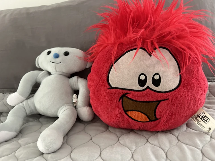 I remade BEAR IRL images | Fandom