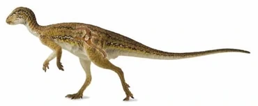 Discuss Everything About Dinopedia | Fandom