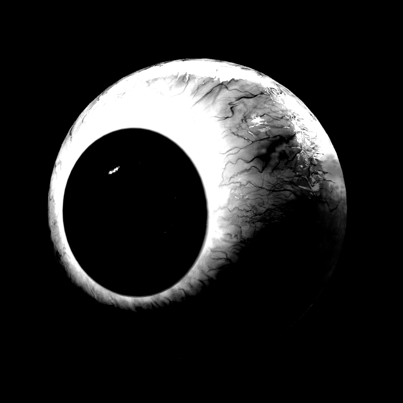 What is Prunsel looking at | Fandom