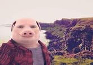 john pork | Fandom