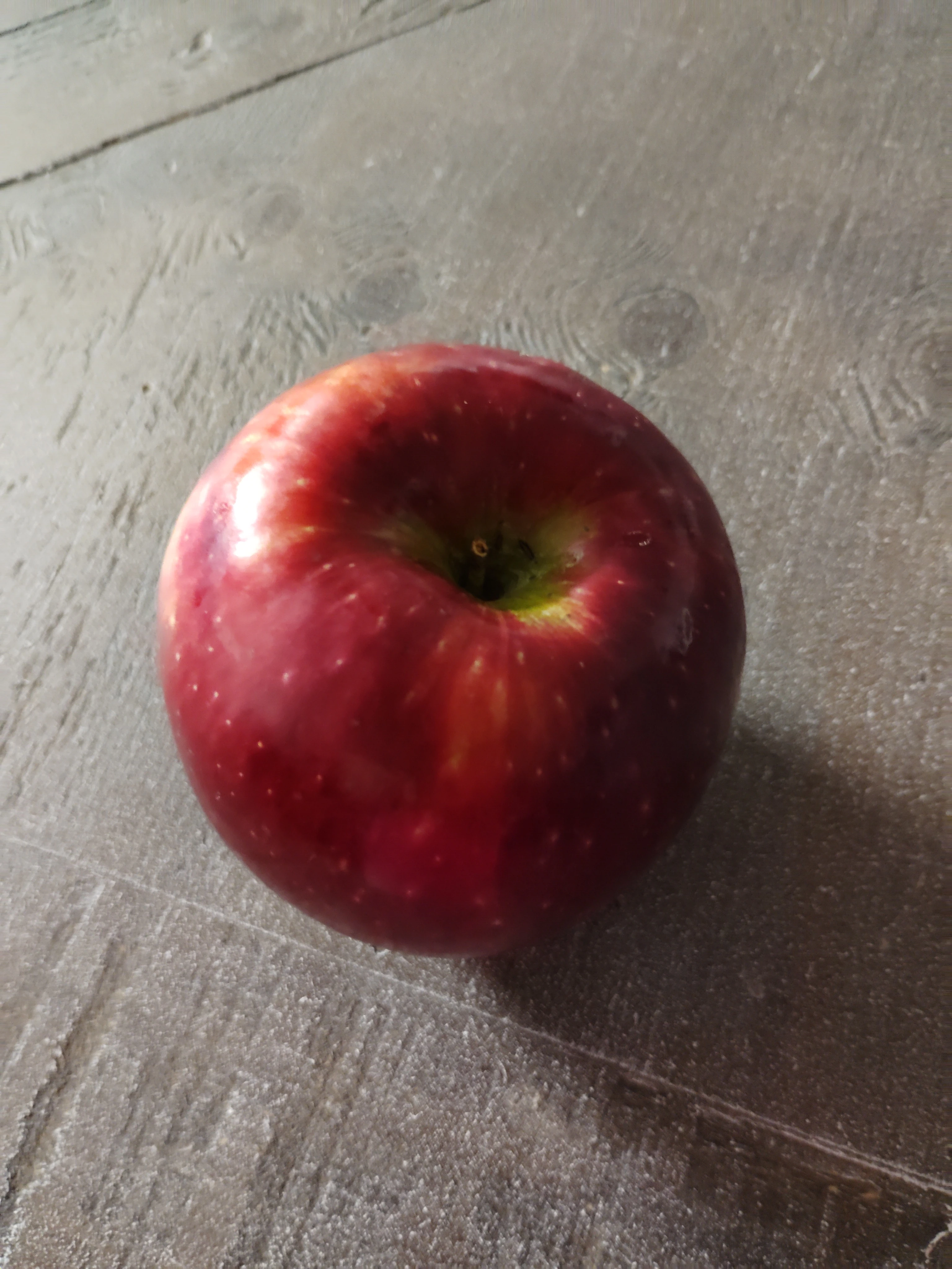 what if this apple was bad,, like, a bad apple | Fandom
