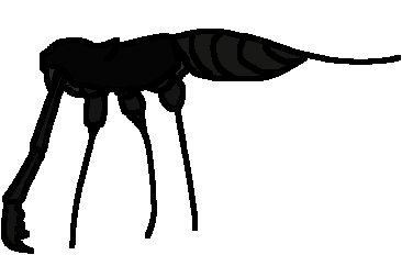 realistic sigma | Fandom