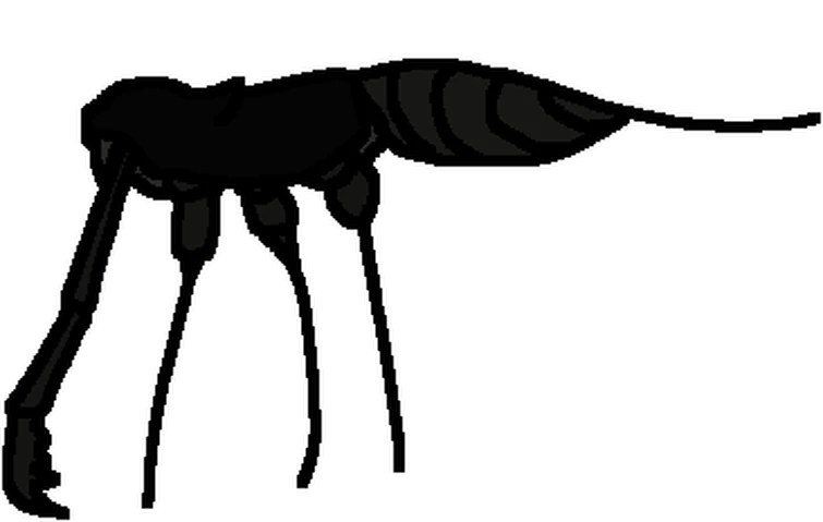 realistic sigma | Fandom