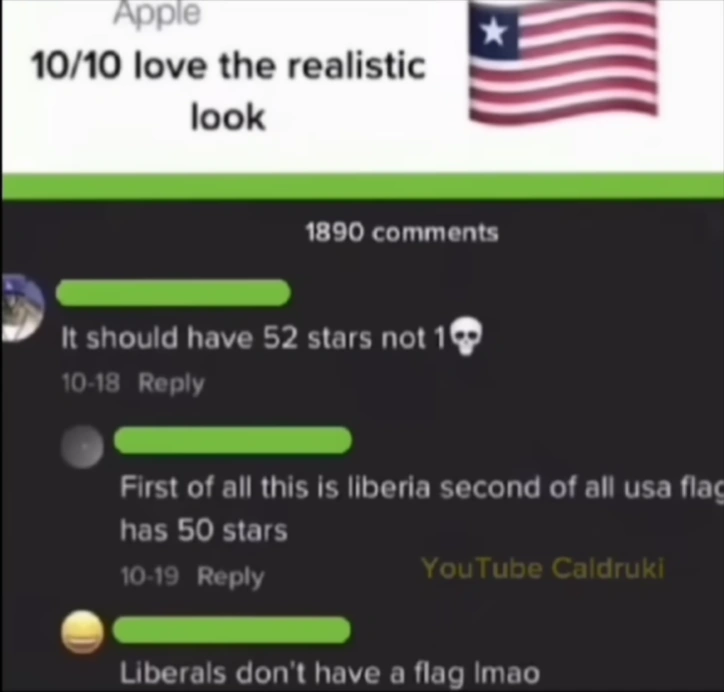 liberals don't have a flag lmao, S q u i d g a m e (Memes) | Fandom