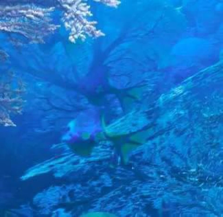 Discuss Everything About Avatar Wiki | Fandom