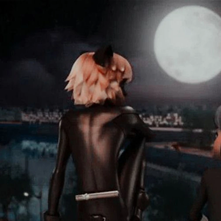 Miraculous ladybug - Matching Profile pictures | Fandom