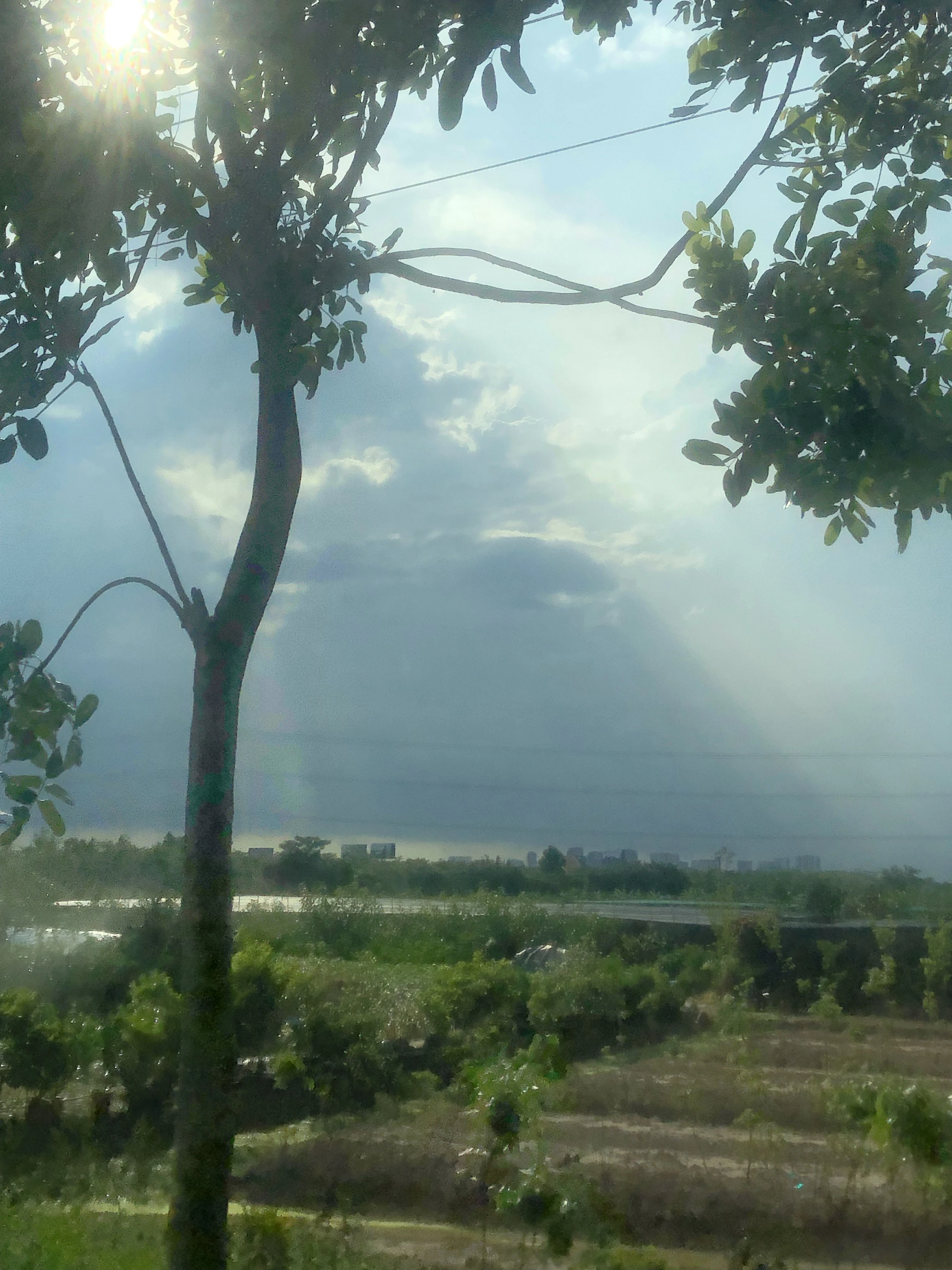 sundried weather in real life | Fandom