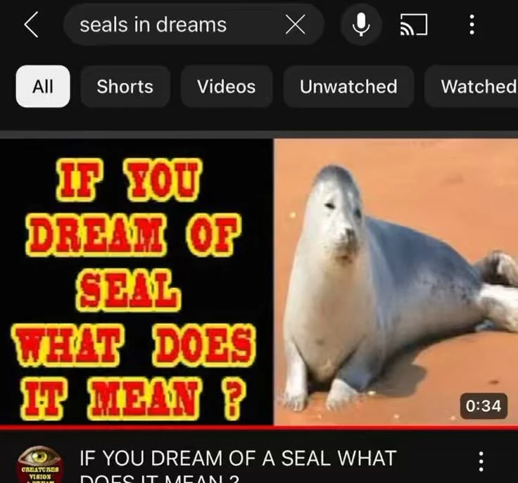 Seal | Fandom