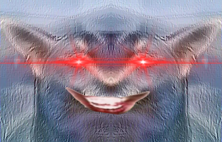 Discuss Everything About Floppapedia Revamped Wiki | Fandom