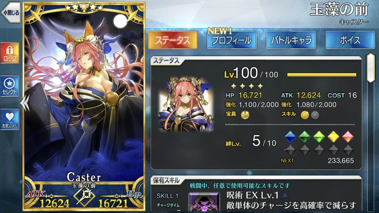 First grailed servant | Fandom