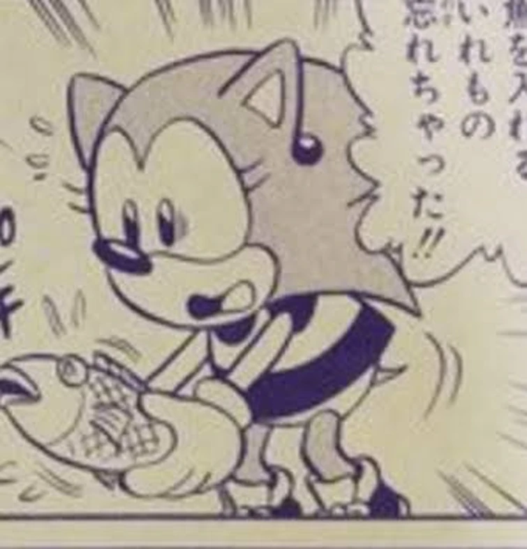 Discuss Everything About Sonic Wiki Zone | Fandom