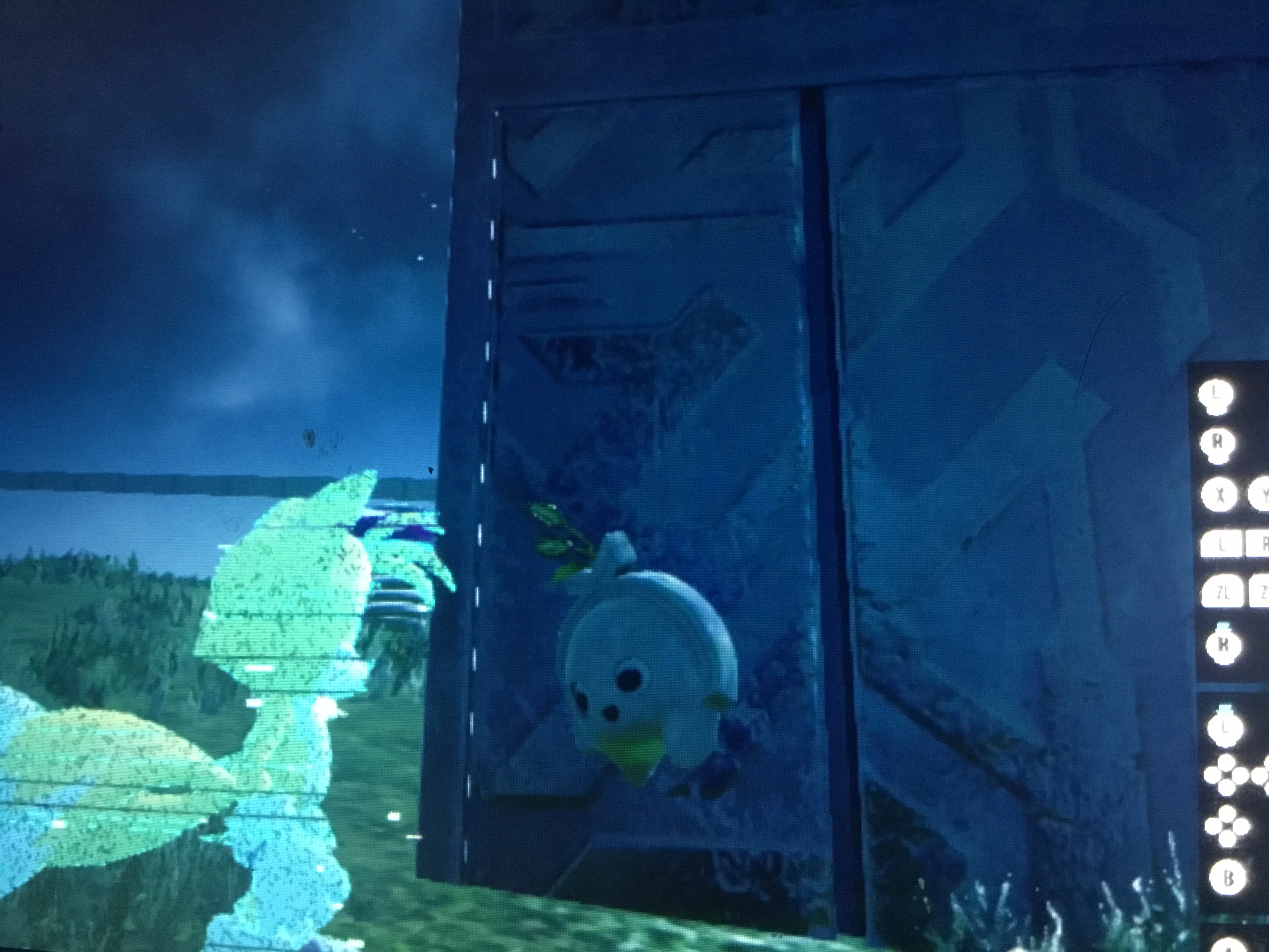 I have named my koco | Fandom