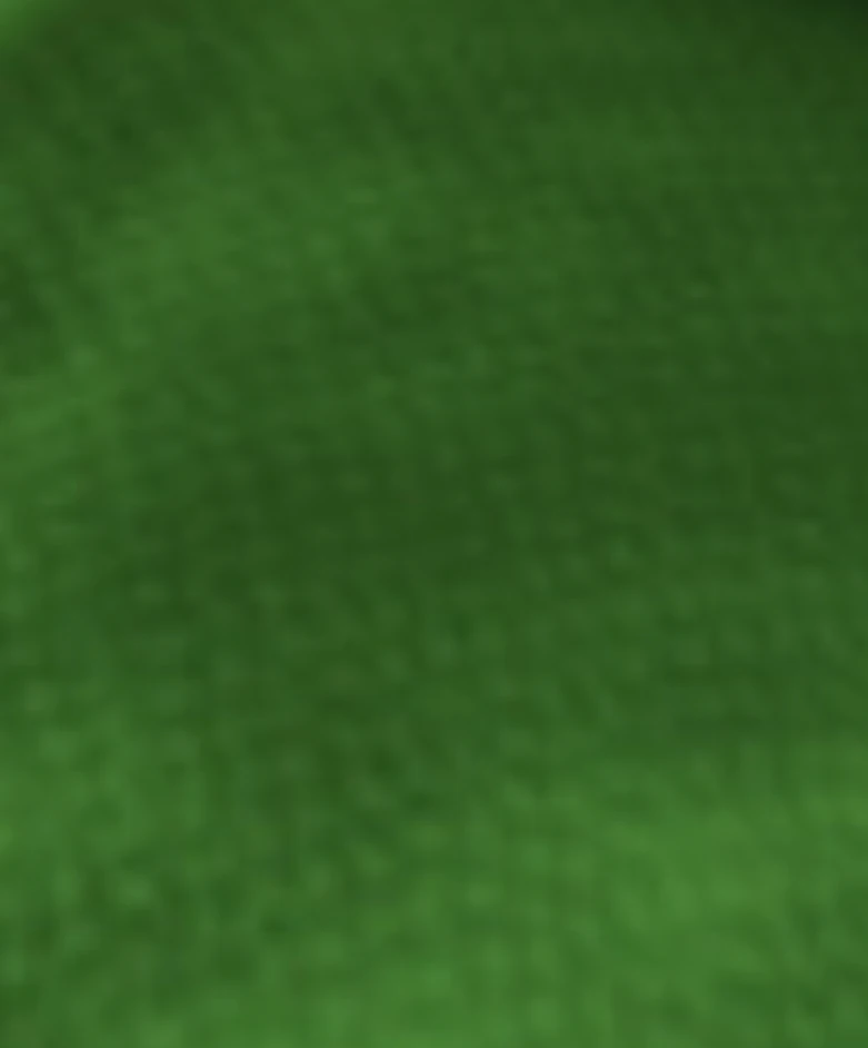 “ropa_rulo.png” from your “rulo.dae” COLLADA script | Fandom