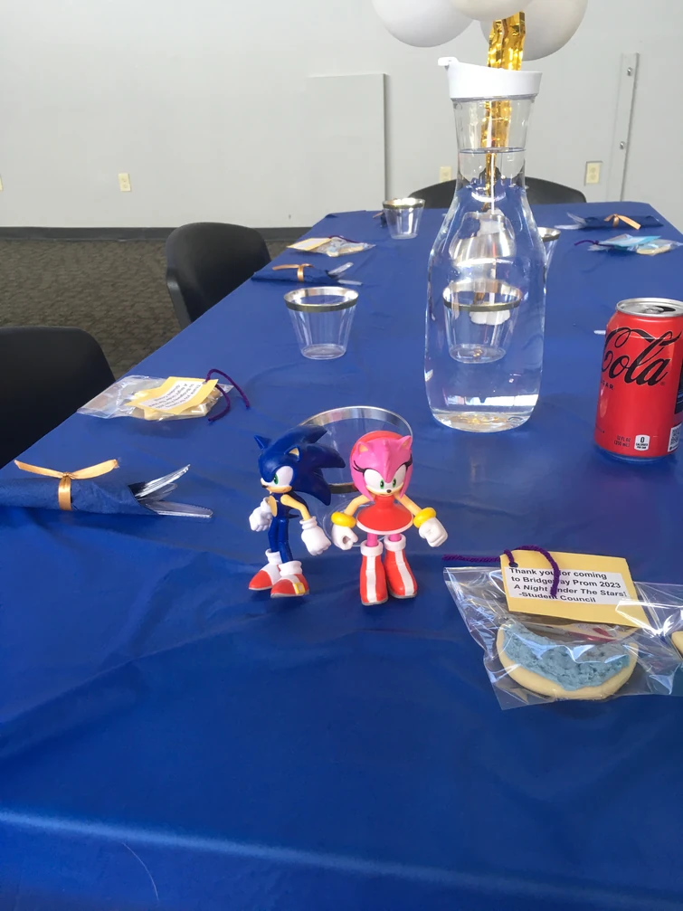 Sonic and Amy rose at prom | Fandom