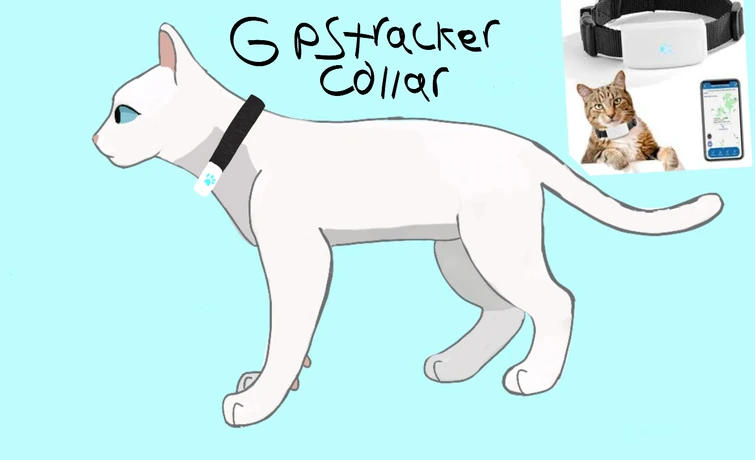 Discuss Everything About Warrior Cats: Ultimate Edition (WCUE) Wiki ...