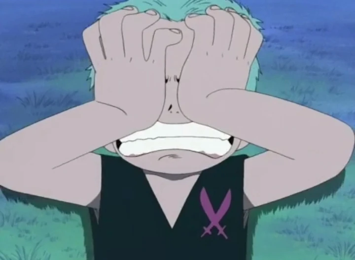 Crazy moment of Zoro | Fandom