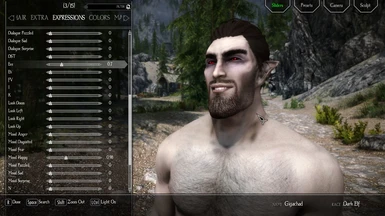 Gigachad in Elder Scrolls | Fandom