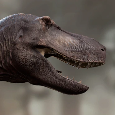 Discuss Everything About Dinopedia | Fandom