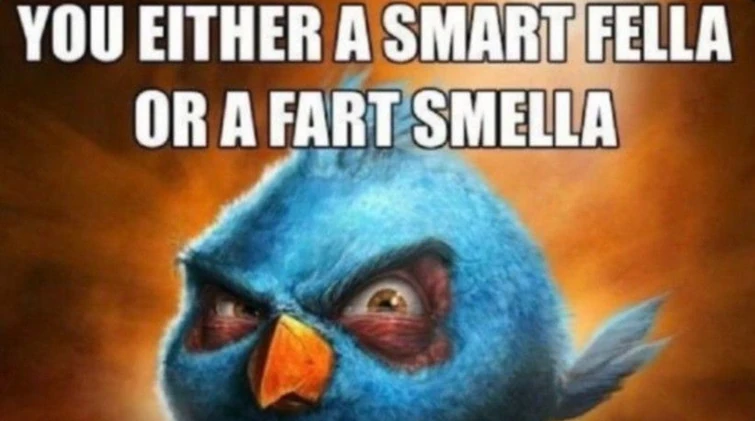 you either a smart fella or a fart smella | Fandom