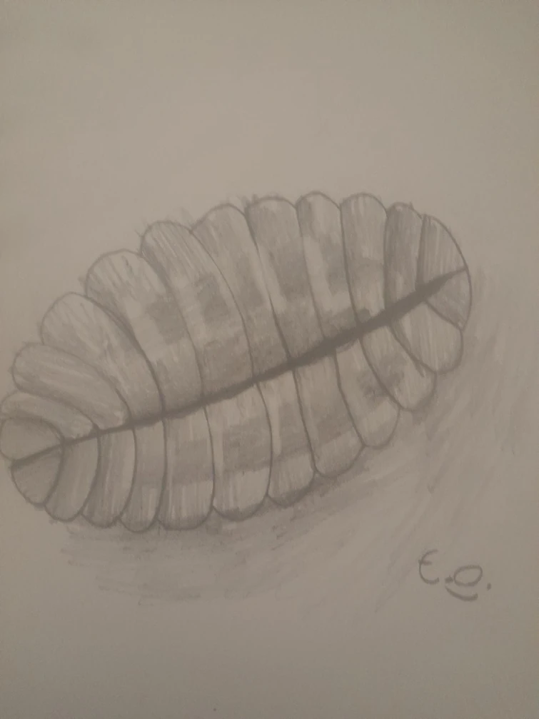 Chaos Zone (Offtopic Thread) | Fandom